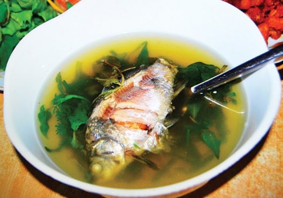 Cây me đất: Công dụng, cách dùng và thận trọng - iHS Việt Nam