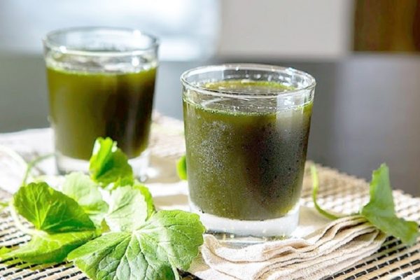 Rau má: Những lợi ích đối với sức khỏe được khoa học chứng nhận