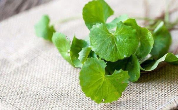 Rau má: Những lợi ích đối với sức khỏe được khoa học chứng nhận