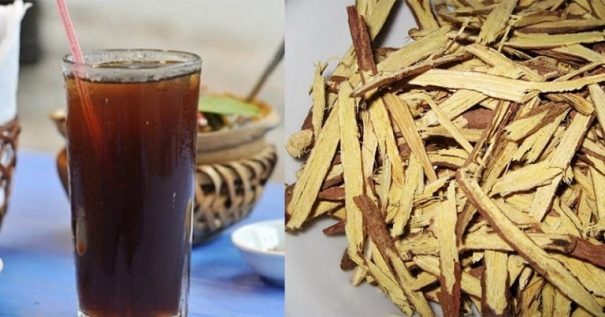 Cây Nhân Trần: Công dụng chữa bệnh, cách dùng và lưu ý