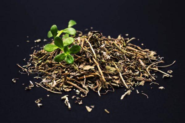 Rau Đắng Biển: Đặc Điểm, Công Dụng Chữa Bệnh Và Cách Dùng