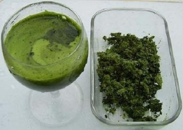 Rau Đắng Đất: Vị Thuốc Chữa Bệnh Lưu Truyền Trong Dân Gian