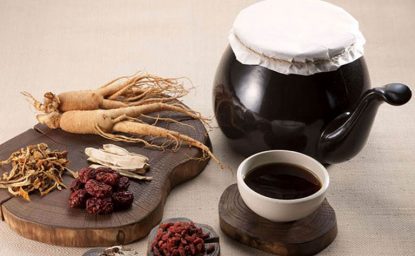 Cây Tầm Gửi: Đặc Điểm, Tác Dụng Chữa Bệnh Và Lưu Ý khi Dùng