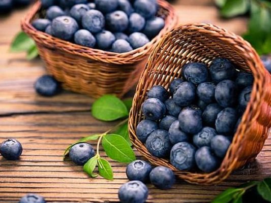 Quả Việt Quất: Giá Trị Dinh Dưỡng Và Tác Dụng Với Sức Khỏe